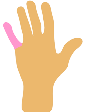 Typing Practice Bottom Row - TypingTestPractice.com